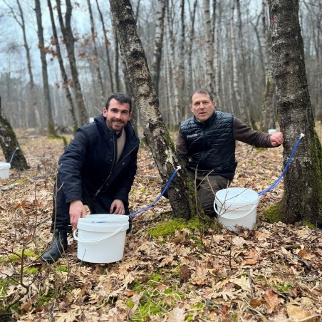 Lot 2x Sève de bouleau BIO - Boisson détox 100% naturelle - France - Bib 5L