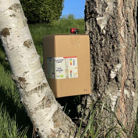 Lot 6x Sève de bouleau BIO - Boisson détox 100% naturelle - France - Bib 5L